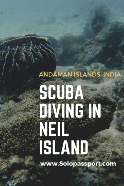 The Ultimate Guide to Scuba Diving in Neil Island (2024)